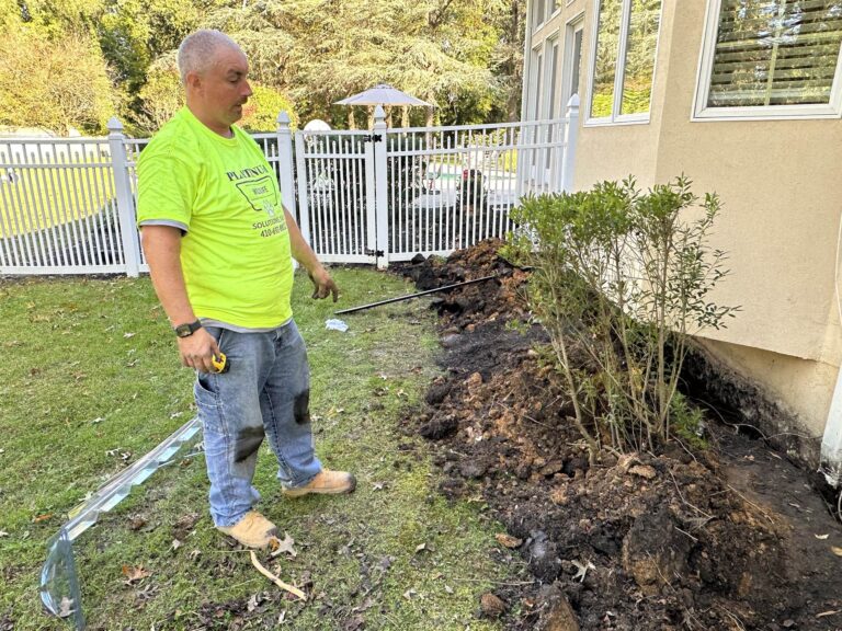 Snake Removal 410-692-8812 | Platinum Wildlife Solutions